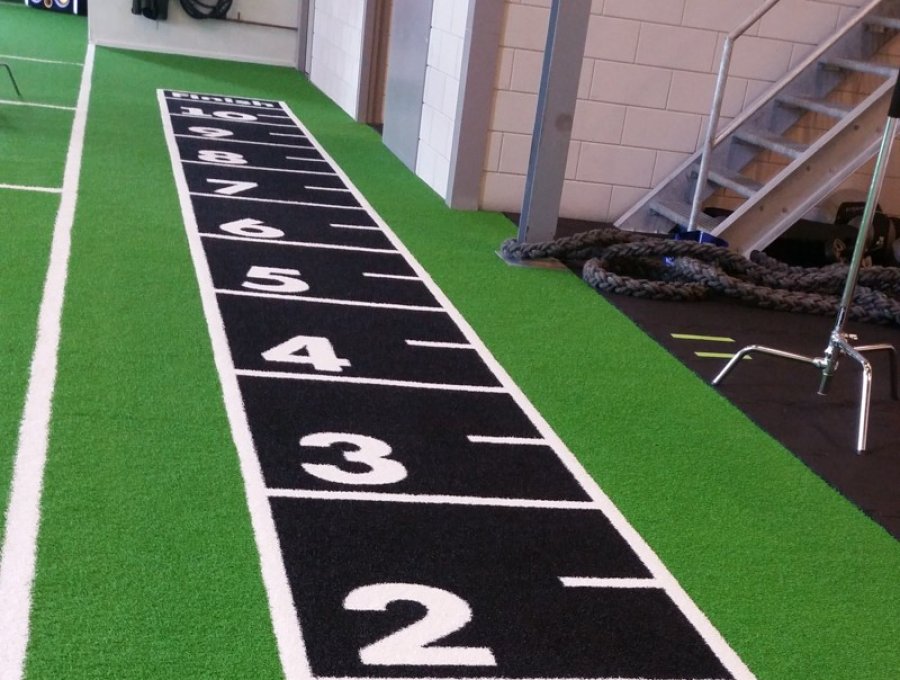 custom blue gym turf _ grass gym flooring _ gym floor turf factory_gym ...